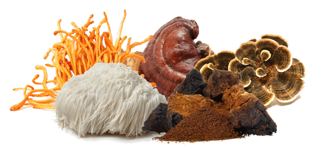 Unlocking the Power of Functional Mushrooms: 10 Benefits You Need to ... Unlocking the Power of Functional Mushrooms: 10 Benefits You Need to ...